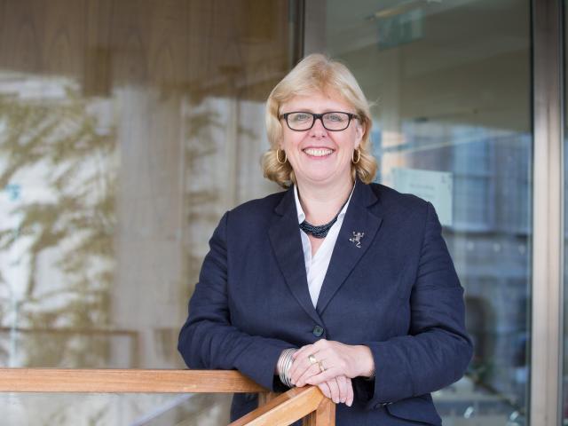 Minister English appoints Professor Jane Ohlmeyer as Chair of the Irish ...